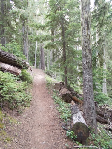 Measure Your Stride With Just 10 Steps | Walking 4 Fun